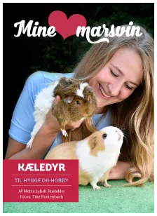 Succes med marsvin :: Capella